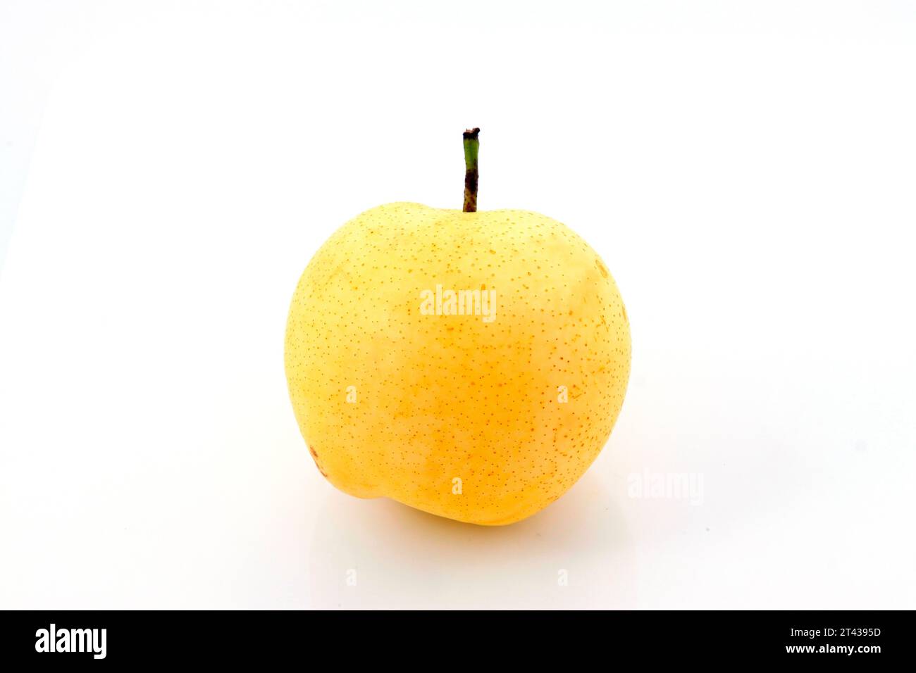 snow pear on a white background, closeup of photo Stock Photo - Alamy