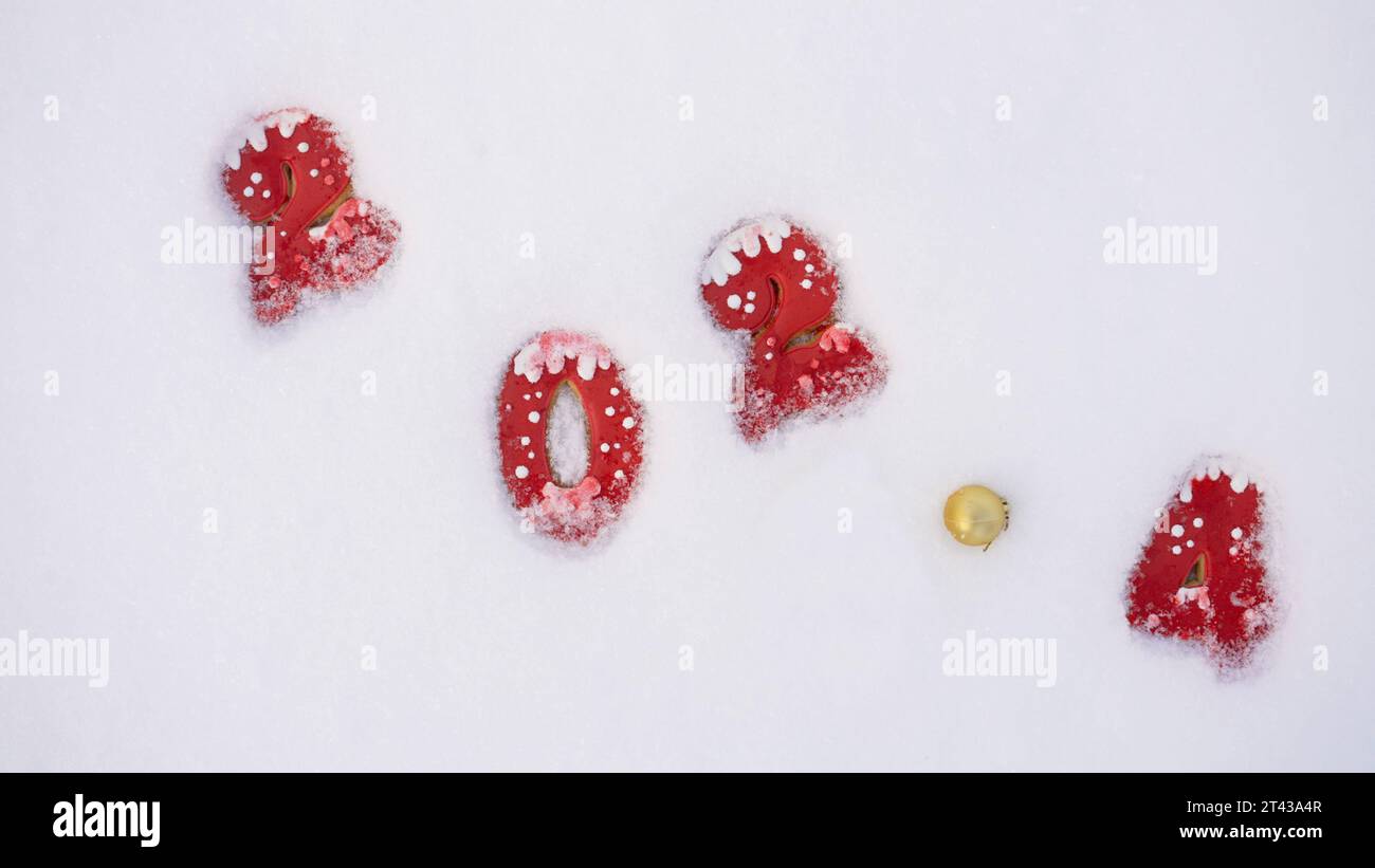 Red numbers 2024 on a background of snow. Numbers 2024 in the snow ...