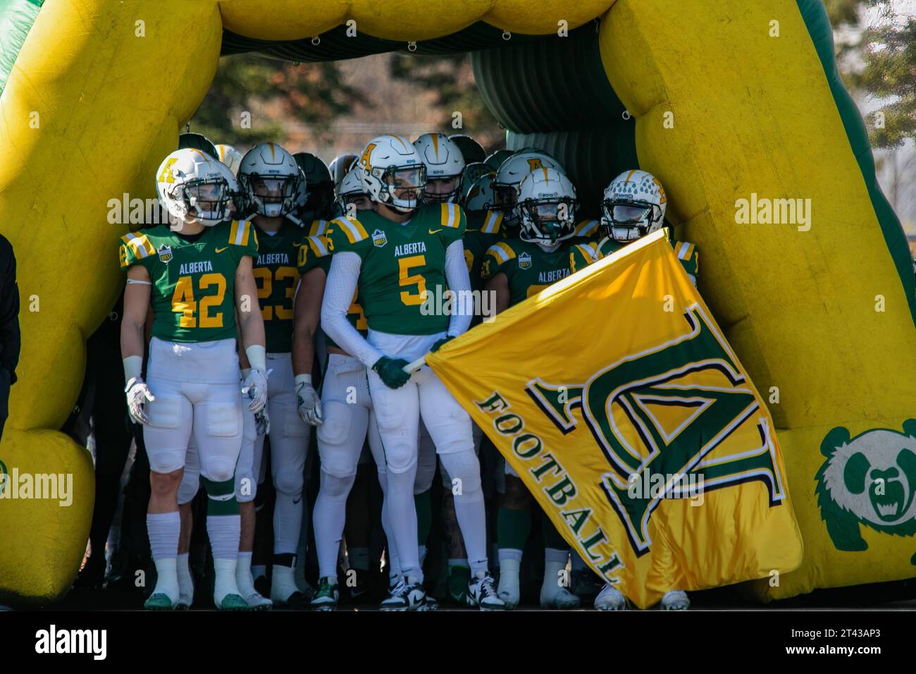 Cole priestly hi-res stock photography and images - Alamy