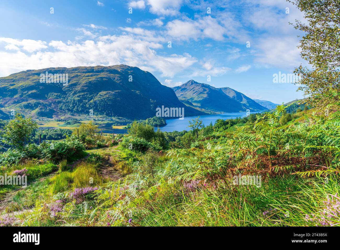 Glenfinnan Viaduct, Highland, Scotland, United Kingdom. Europe Stock ...