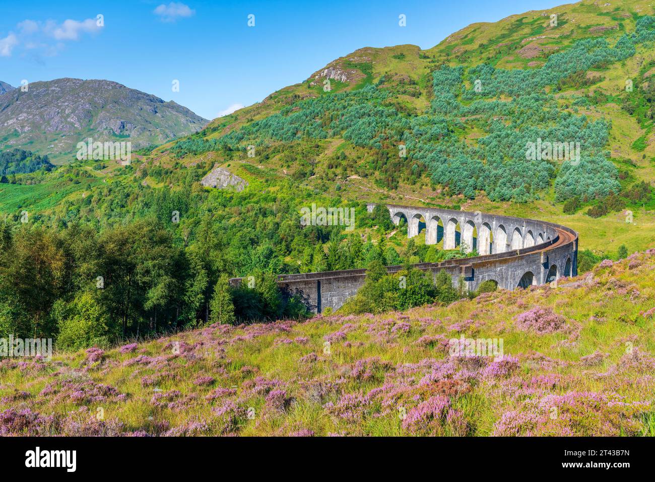 Glenfinnan Viaduct, Highland, Scotland, United Kingdom. Europe Stock ...