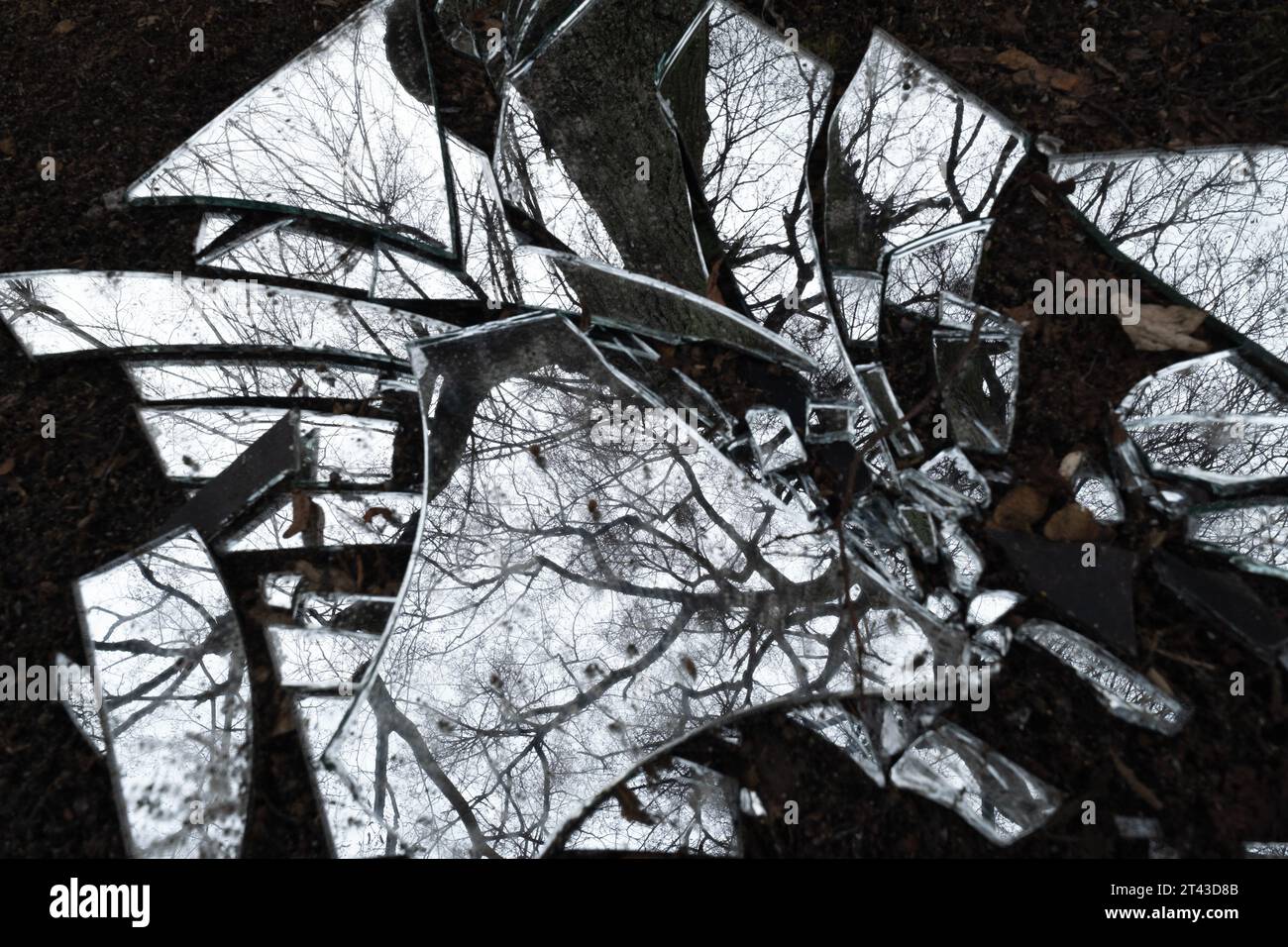 Blue ground fragment hi-res stock photography and images - Alamy