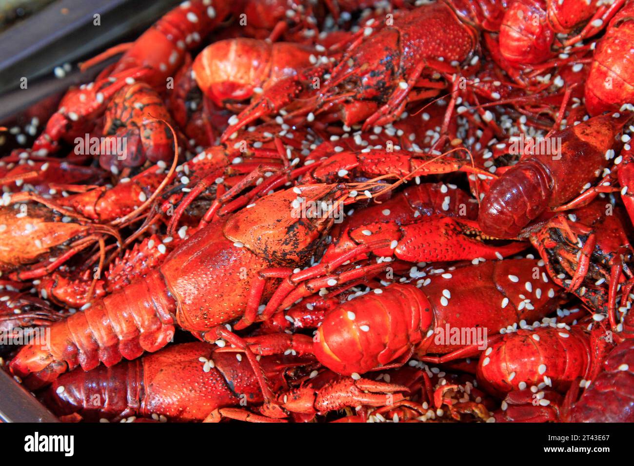 Chinese traditional food, Fried small lobster, closeup of photo Stock ...