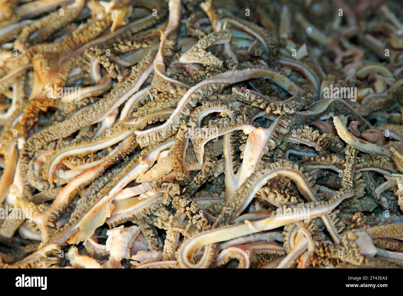 Baodu hi-res stock photography and images - Alamy