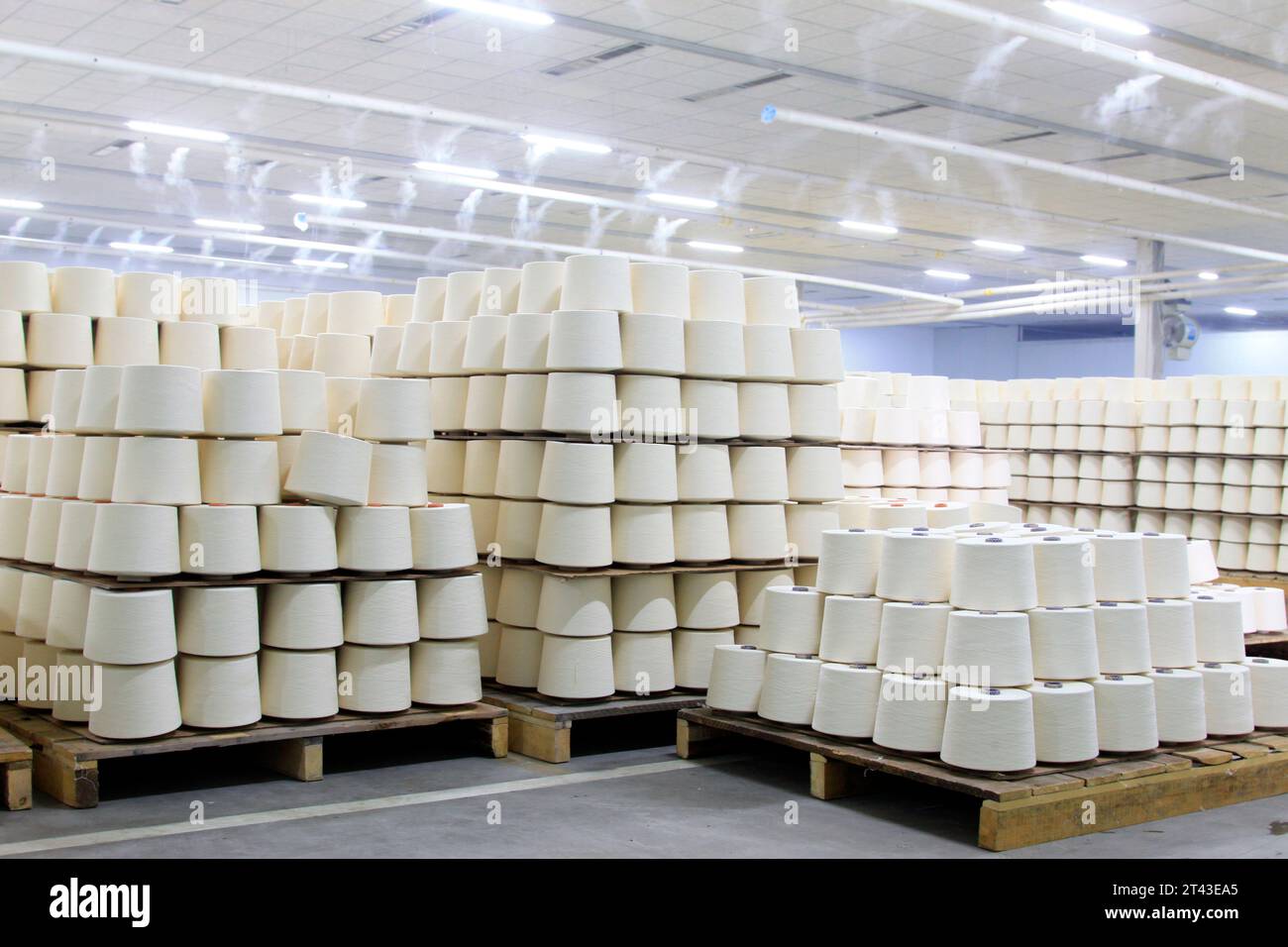 cotton group on a spinning production line in a factory Stock Photo - Alamy