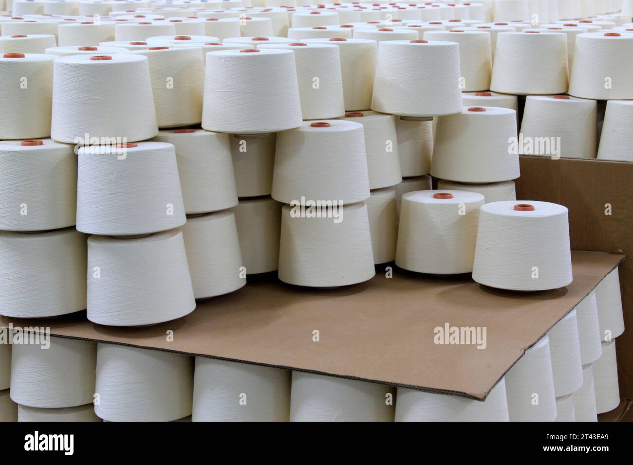 cotton group on a spinning production line in a factory Stock Photo - Alamy