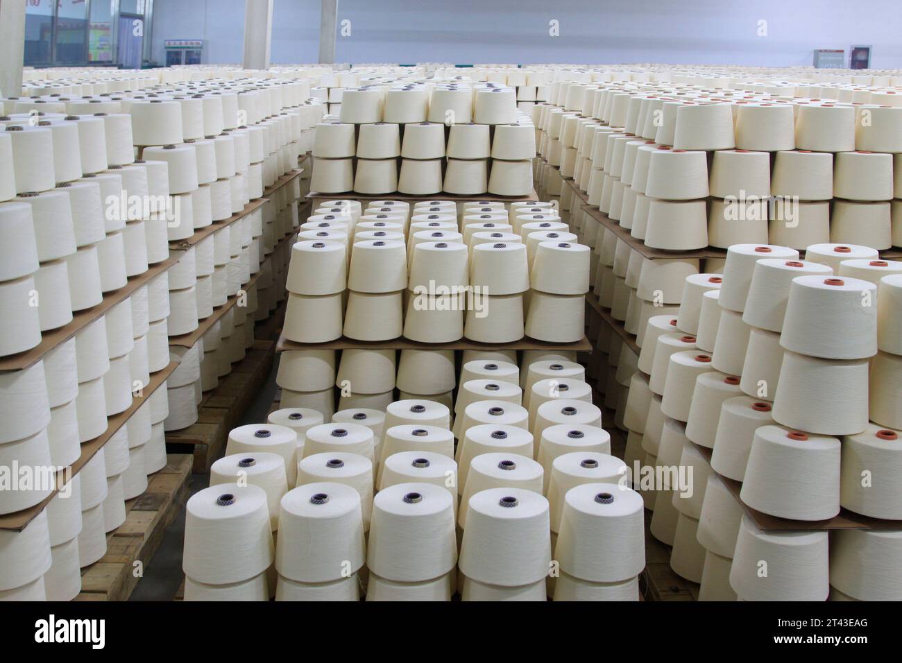 cotton group on a spinning production line in a factory Stock Photo - Alamy