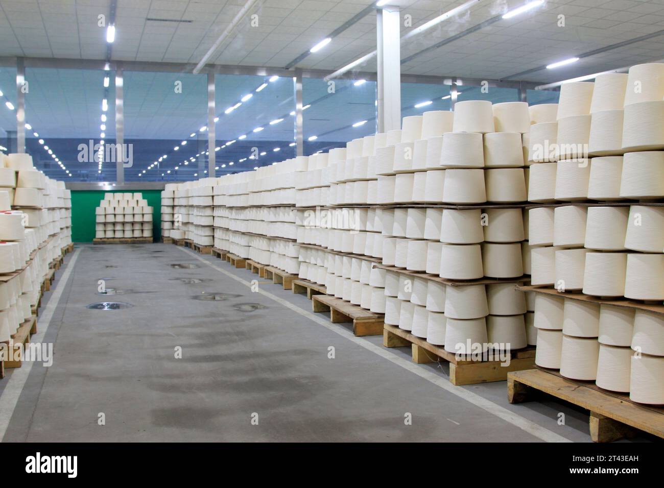 cotton group on a spinning production line in a factory Stock Photo - Alamy