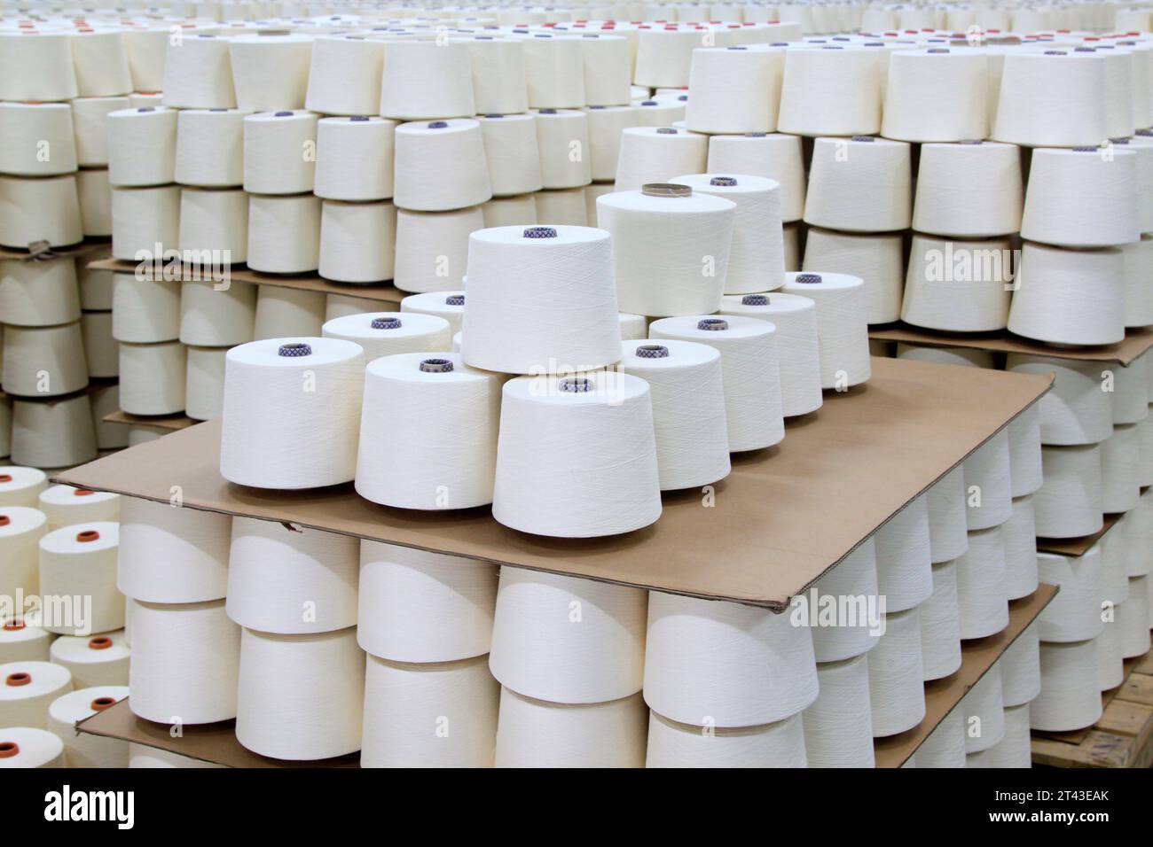 cotton group on a spinning production line in a factory Stock Photo - Alamy