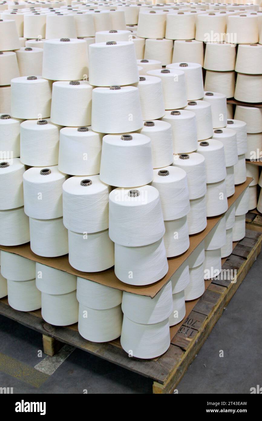 cotton group on a spinning production line in a factory Stock Photo - Alamy