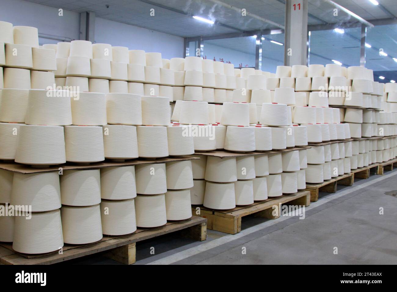 cotton group on a spinning production line in a factory Stock Photo - Alamy
