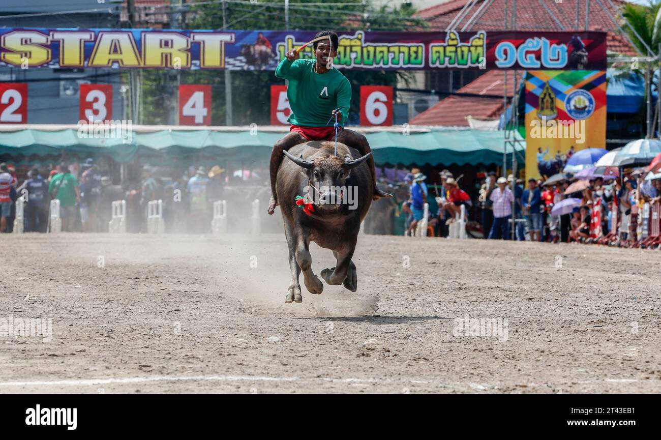 A jockey competes in Chonburi's annual buffalo race festival, in ...