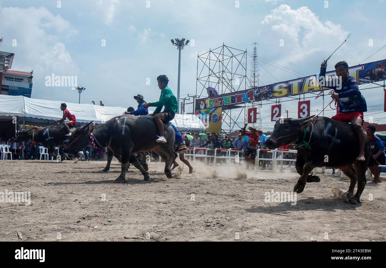 Jockeys compete in Chonburi's annual buffalo race festival, in Chonburi ...