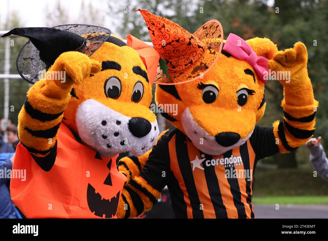 Hull, UK. 26th Oct, 2023. Hull City mascots Roary and Amber during the ...
