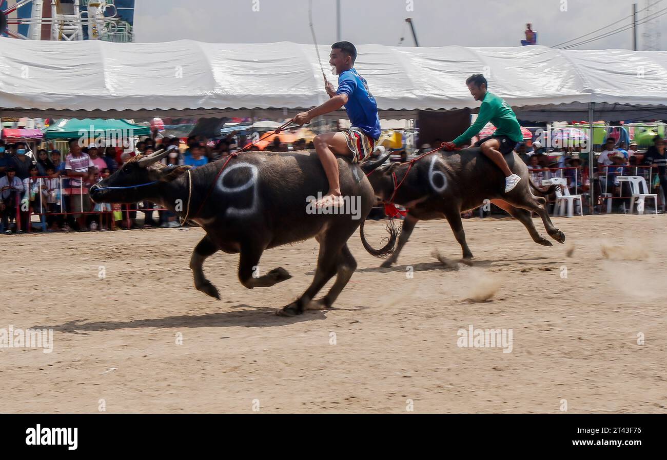 Jockeys compete in Chonburi's annual buffalo race festival, in Chonburi ...