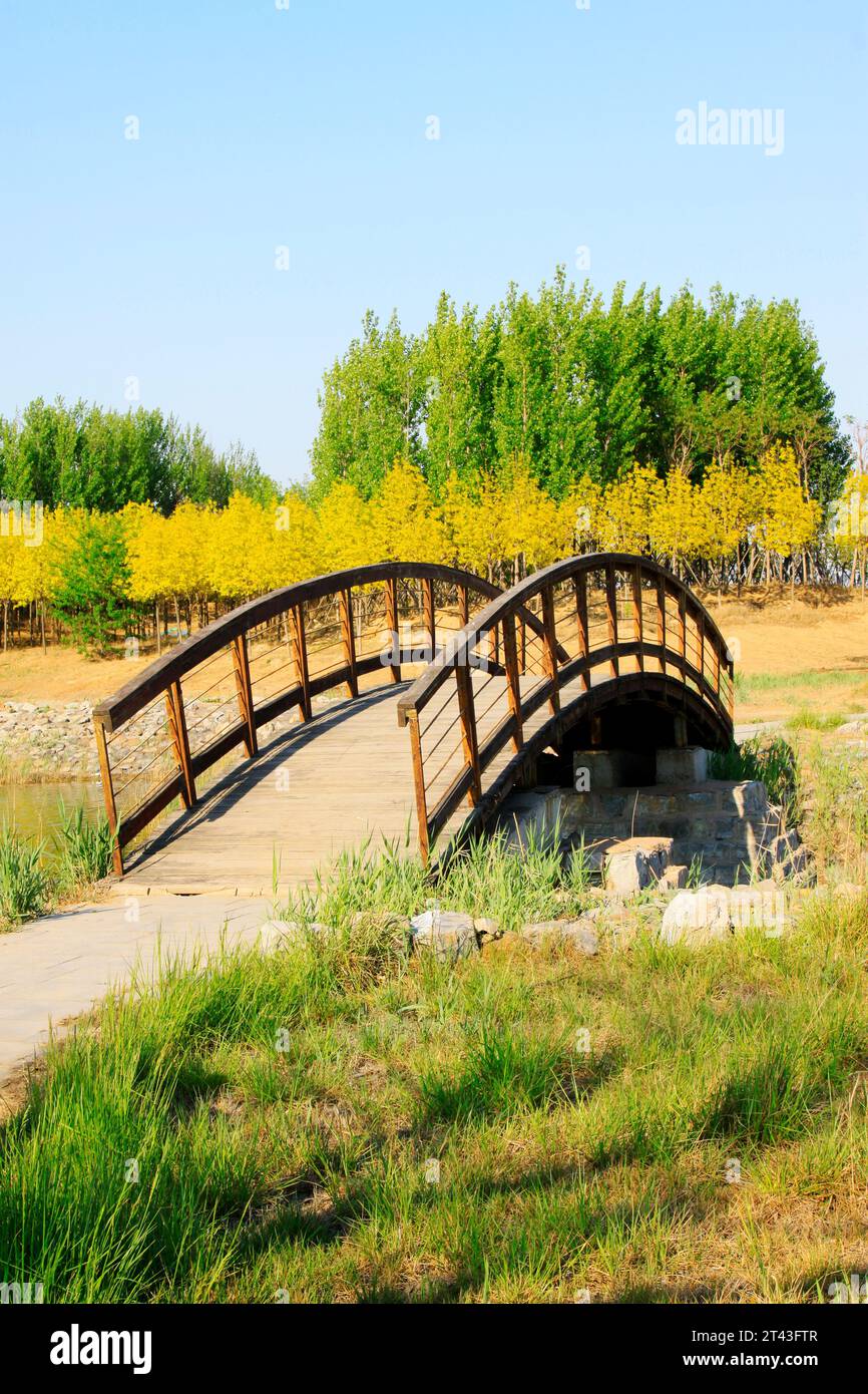 wooden arch bridge in a park, closeup of photo Stock Photo - Alamy