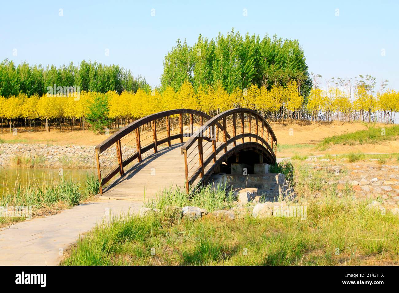 wooden arch bridge in a park, closeup of photo Stock Photo - Alamy