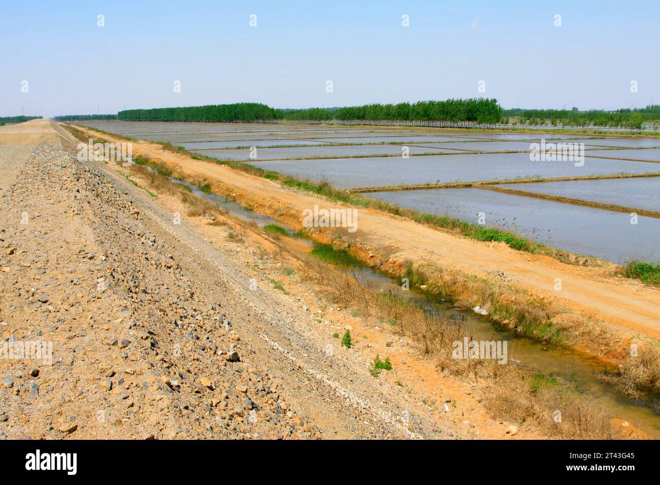 paddy field rural areas in China Stock Photo - Alamy