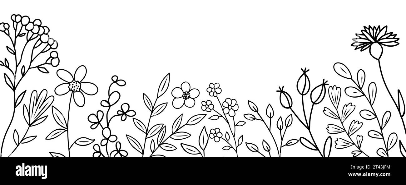 Wild blooming meadow flowers and herbs border Stock Vector Image & Art ...