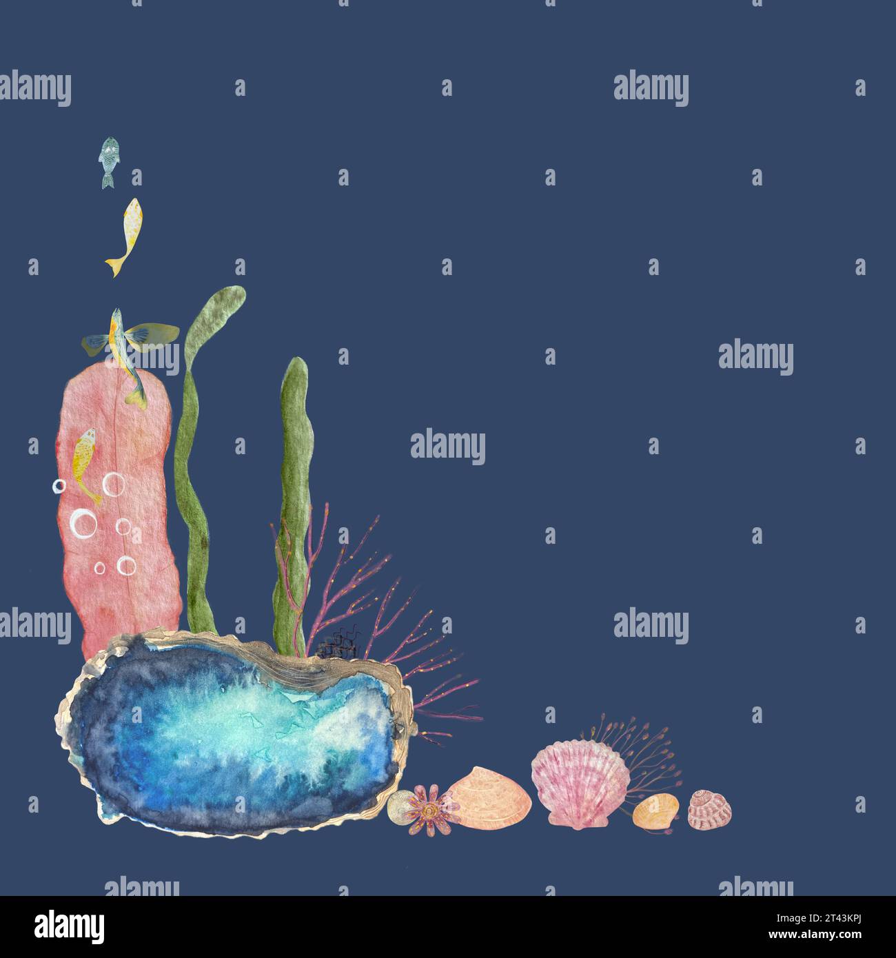 Set underwater sea creatures hi-res stock photography and images - Alamy