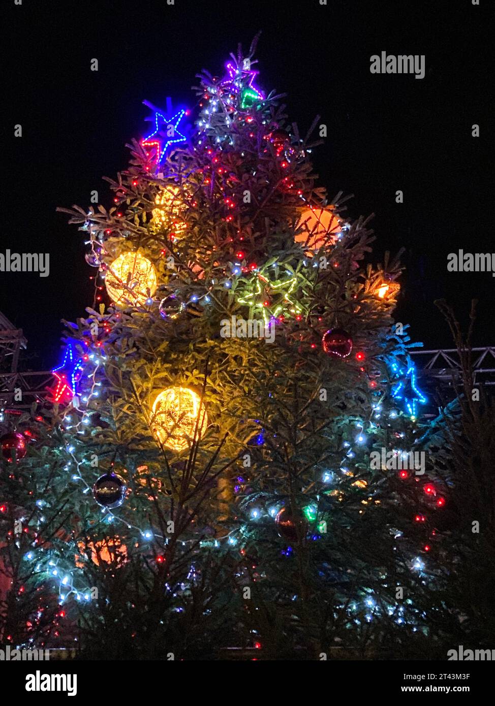 An enchanting Christmas night, as a tree sparkles with a kaleidoscope ...