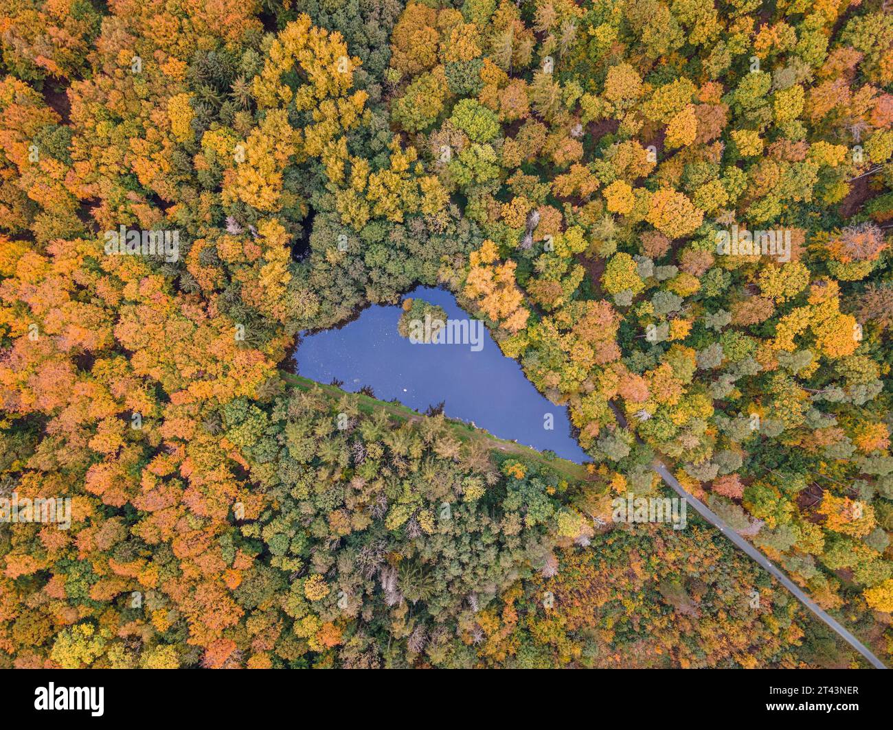 Brunnenweiher hi-res stock photography and images - Alamy