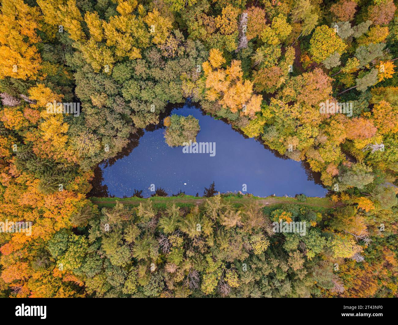 Der Brunnenweiher bei Usingen Taunus im Herbst Das Laub der Bäume um ...