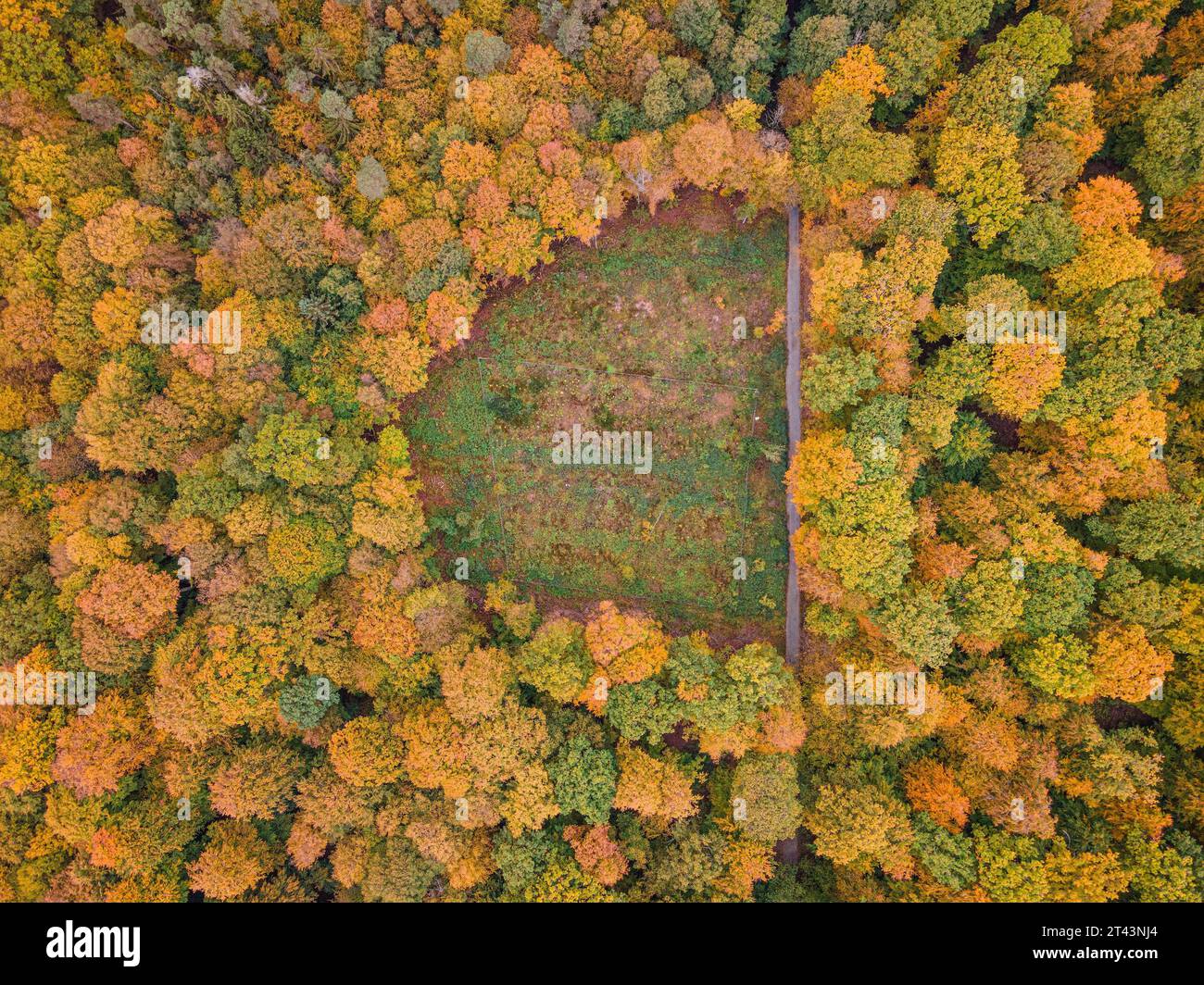 Brunnenweiher hi-res stock photography and images - Alamy