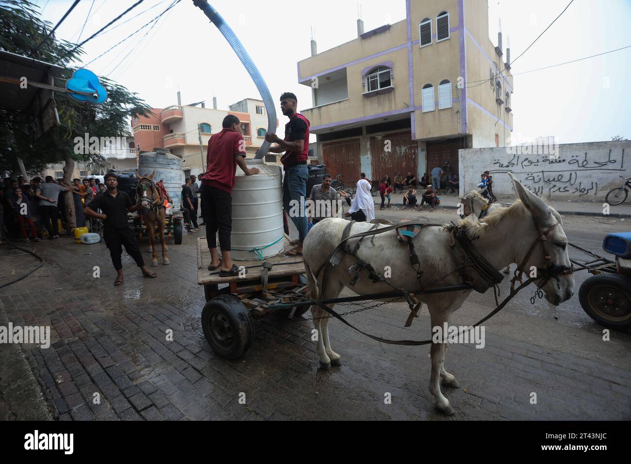 Palestinian civilians collect water using plastic jerrycans, donkey ...