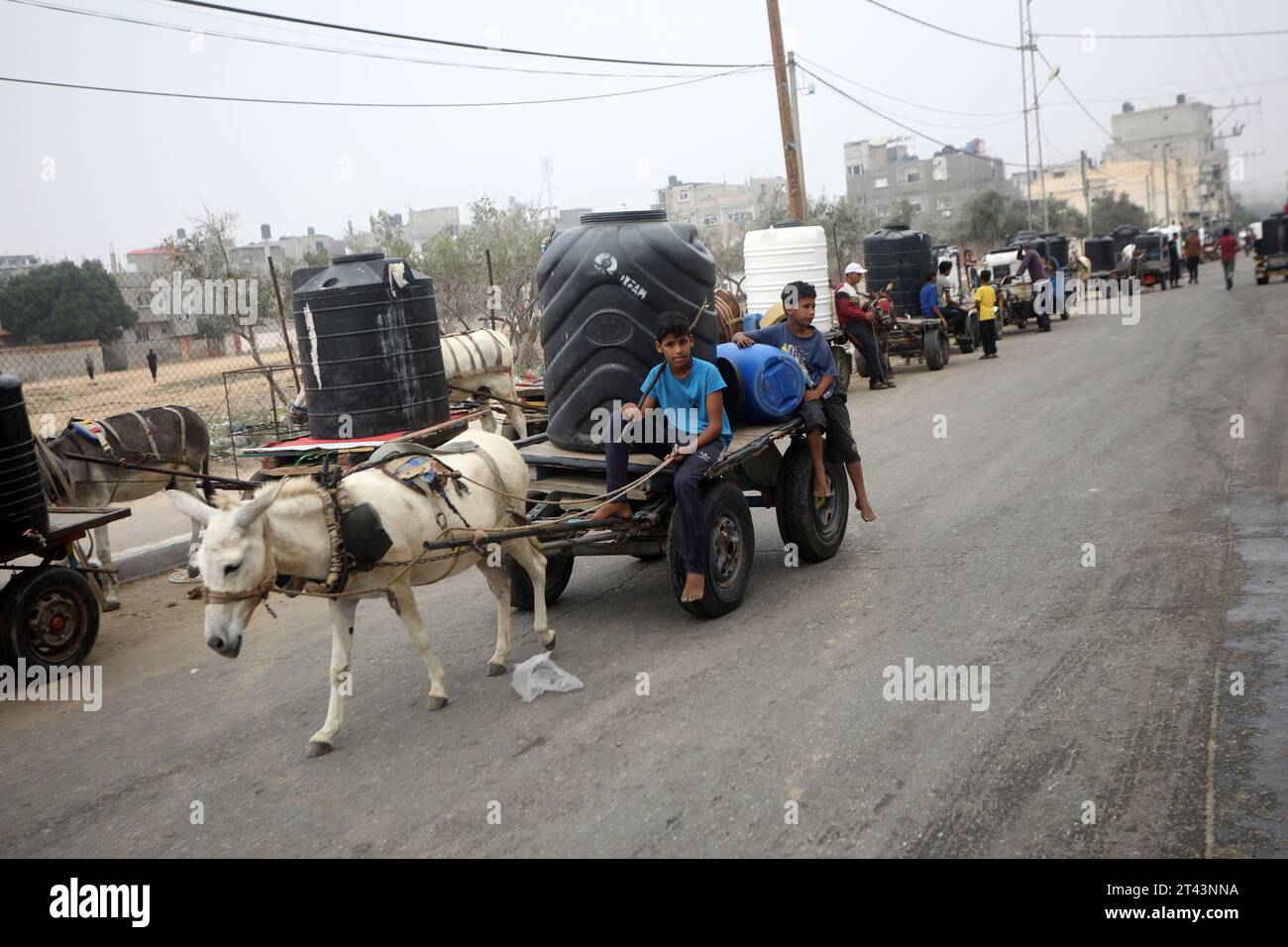 Palestinian civilians collect water using plastic jerrycans, donkey ...