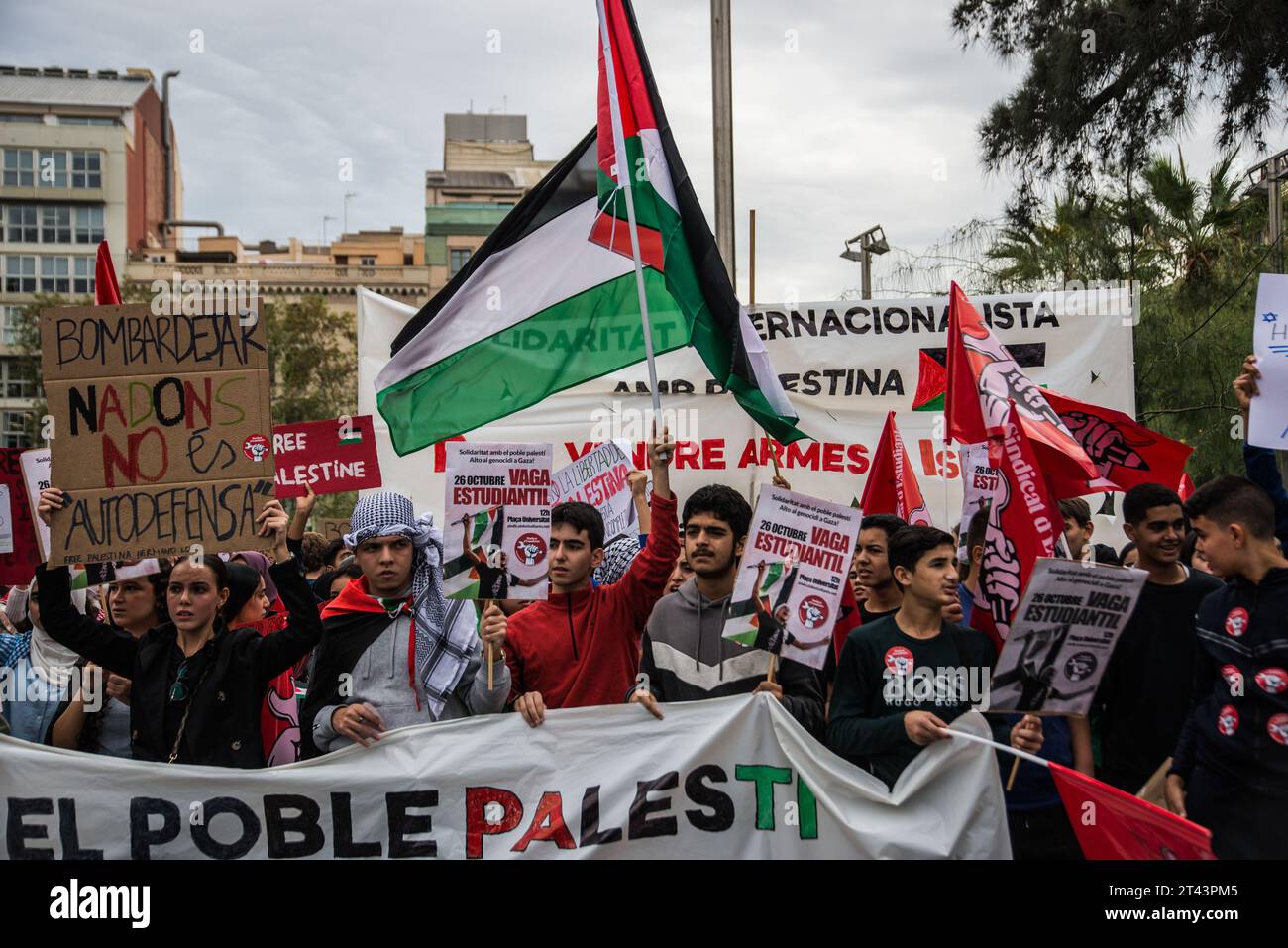 Protesters hold a banner, flags and signs expressing their opinions ...