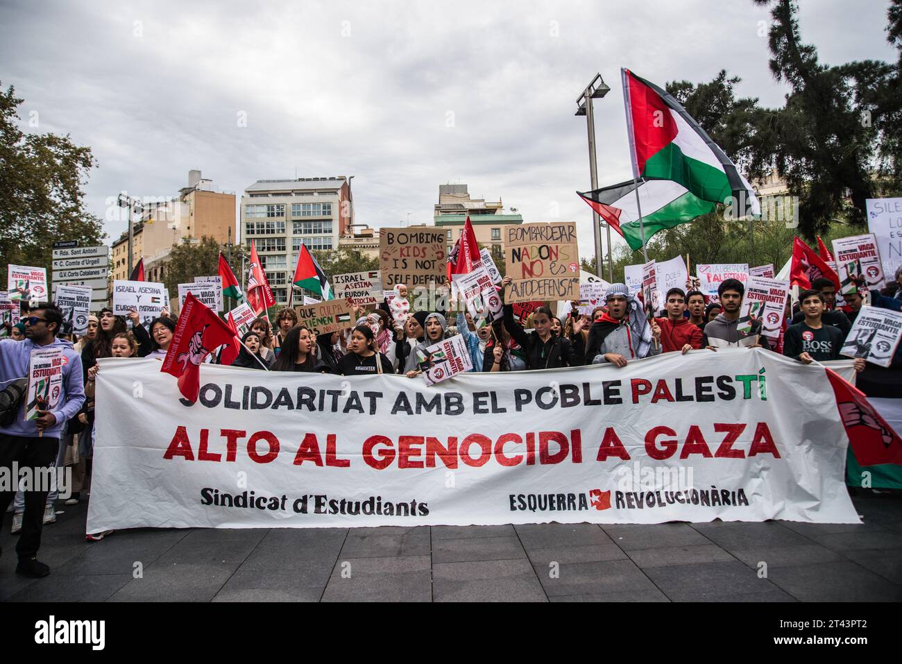 Protesters hold a banner, flags and signs expressing their opinions ...