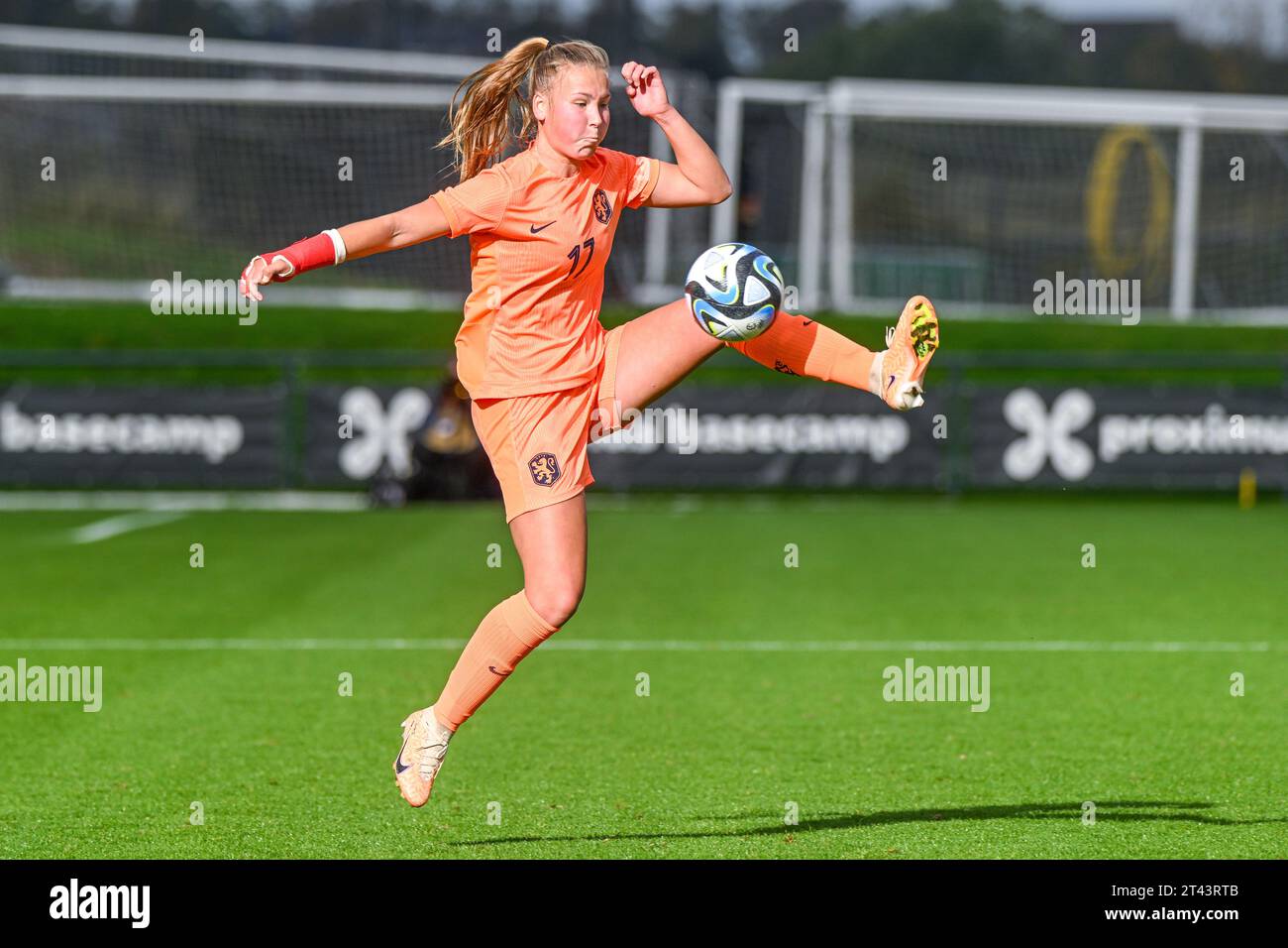 Fieke hi-res stock photography and images - Alamy