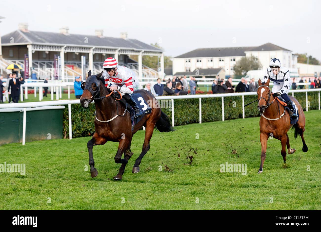 Aberama gold horse racing hi-res stock photography and images - Alamy