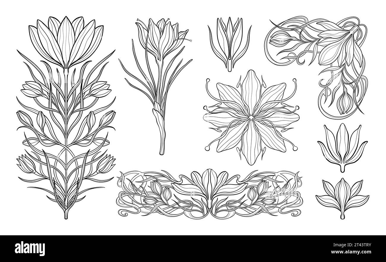 Floral crocus plant in art nouveau 1920-1930. Hand drawn crocus in a ...