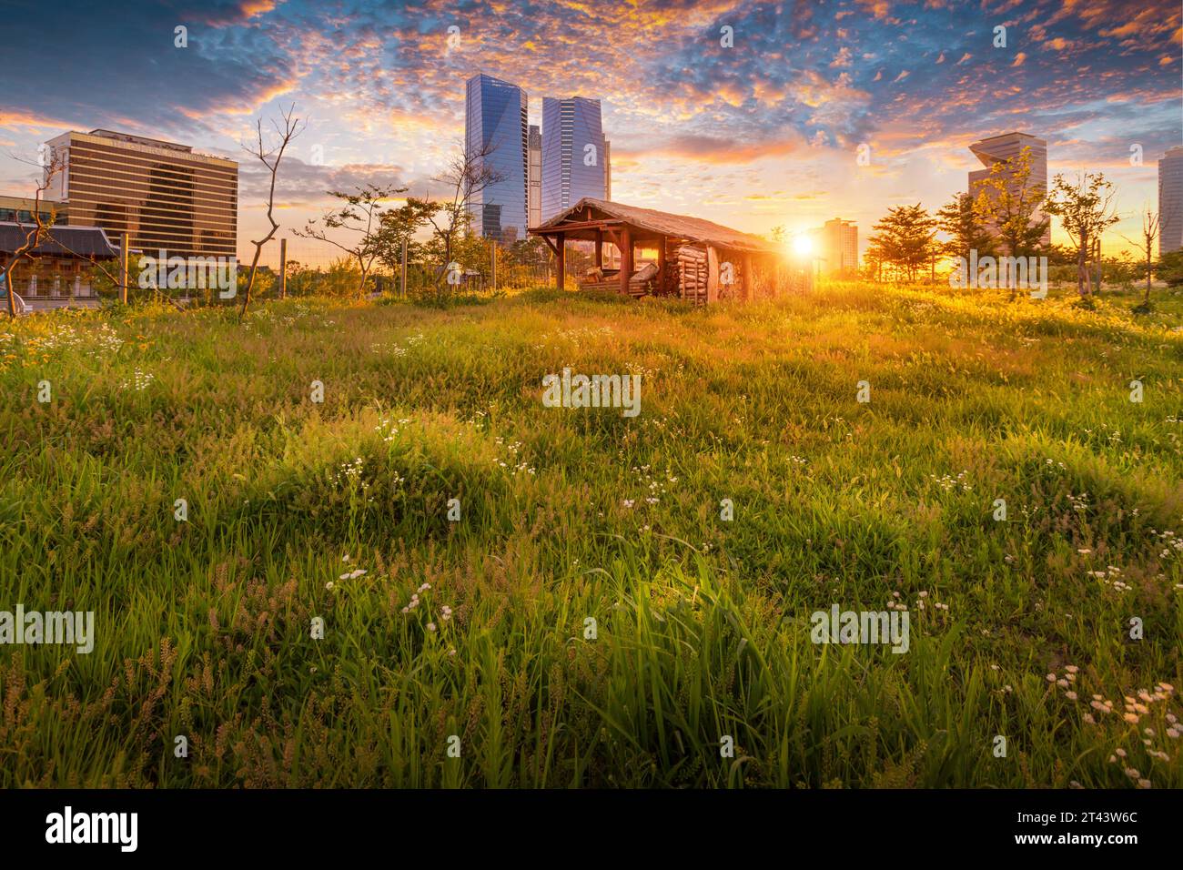 Sunset in korea, Songdo Central Park in Songdo District, Incheon South ...