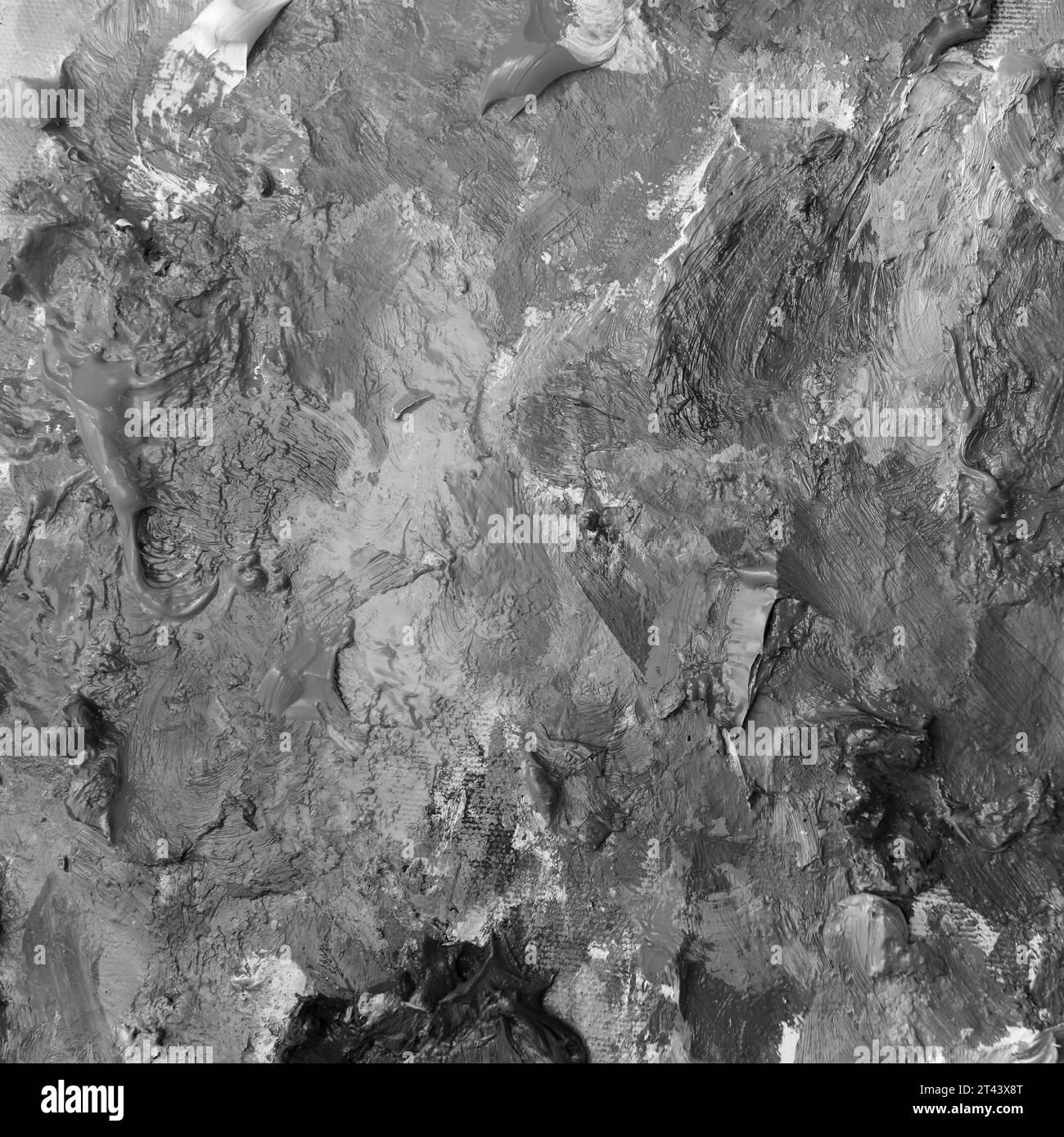 Modern contemporary acrylic background. Black and white paint texture ...