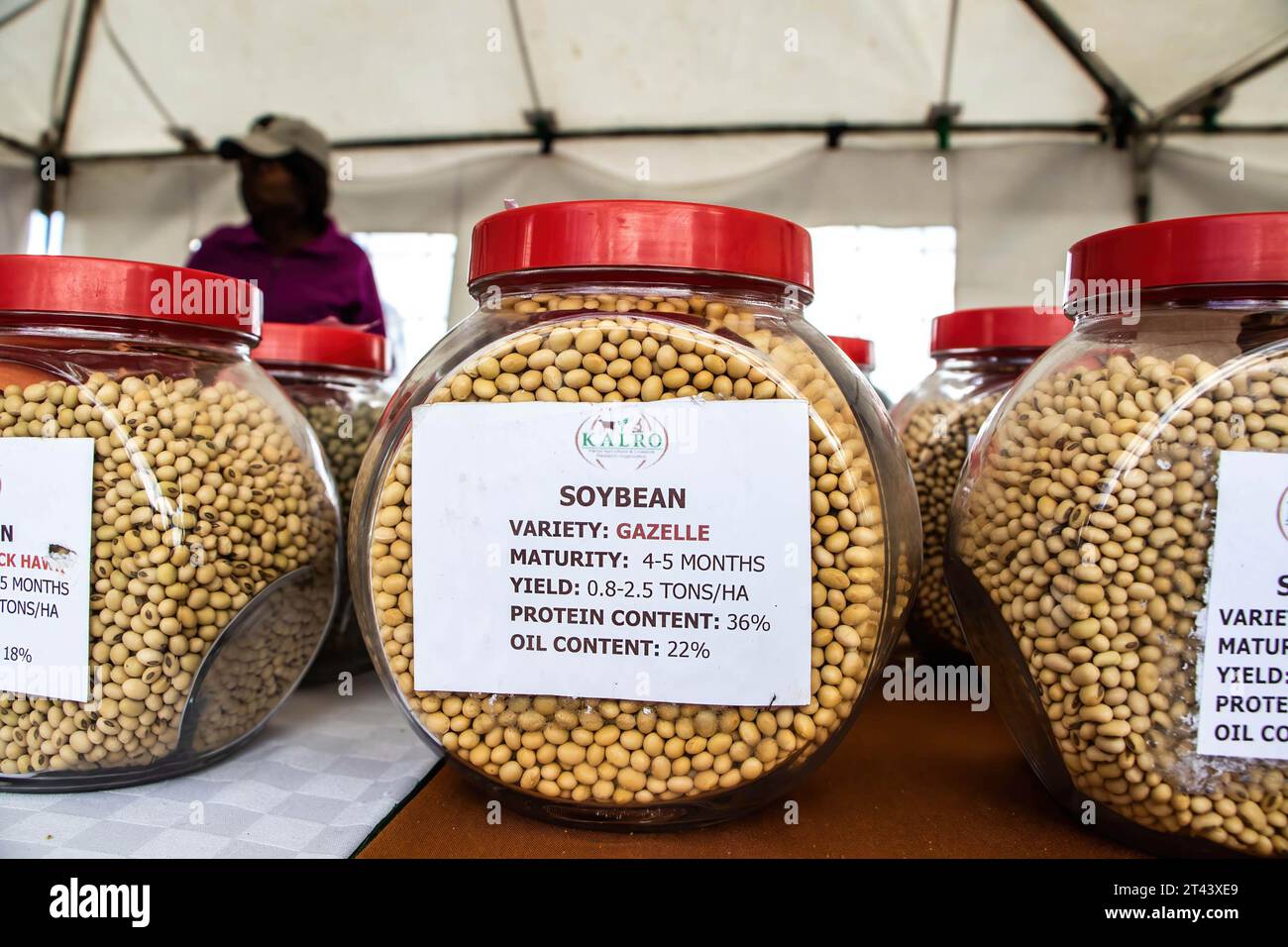 Soybean varieties hi-res stock photography and images - Alamy
