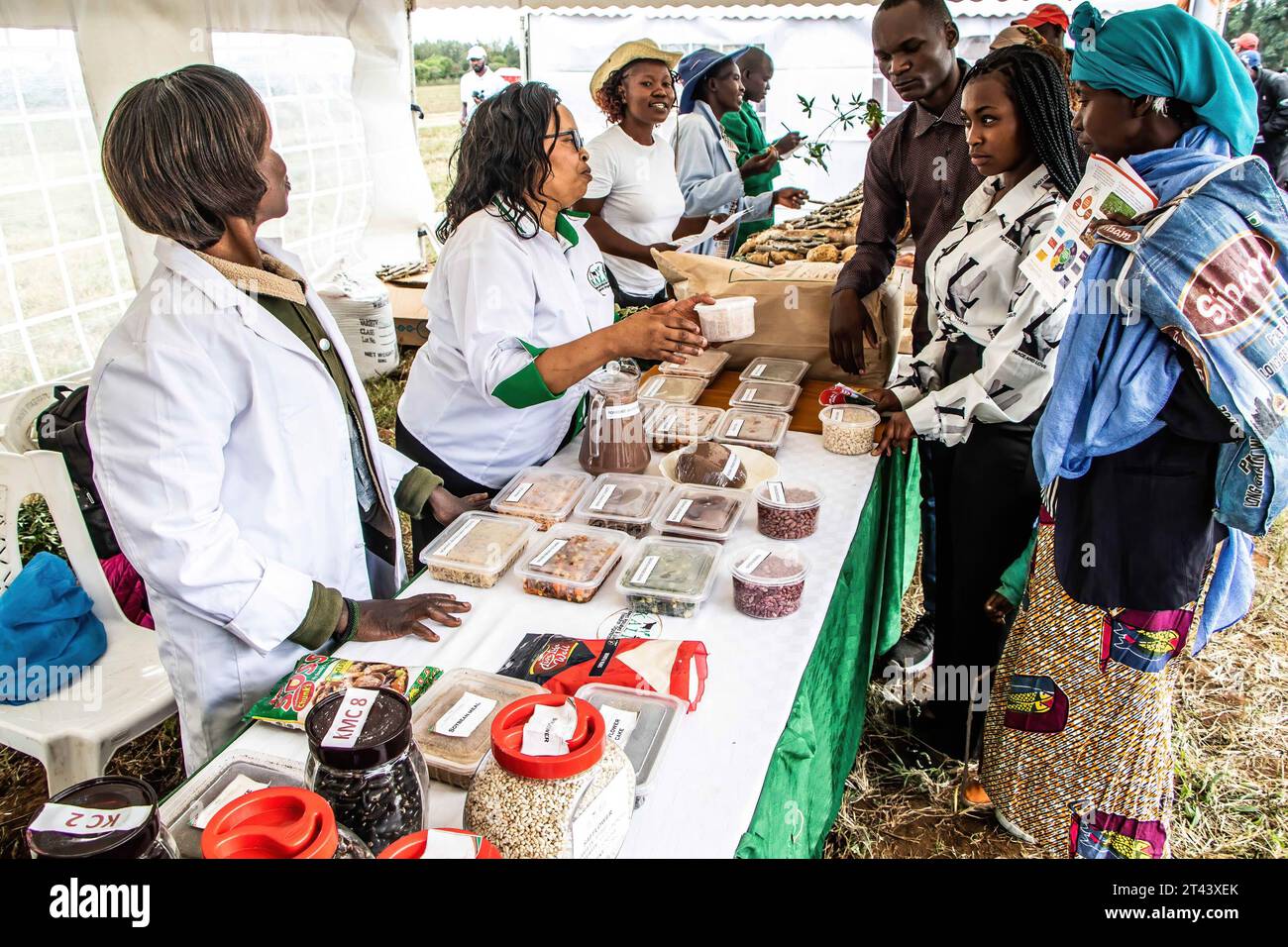 Nakuru, Kenya. 27th Oct, 2023. Participants visit seeds stand during ...
