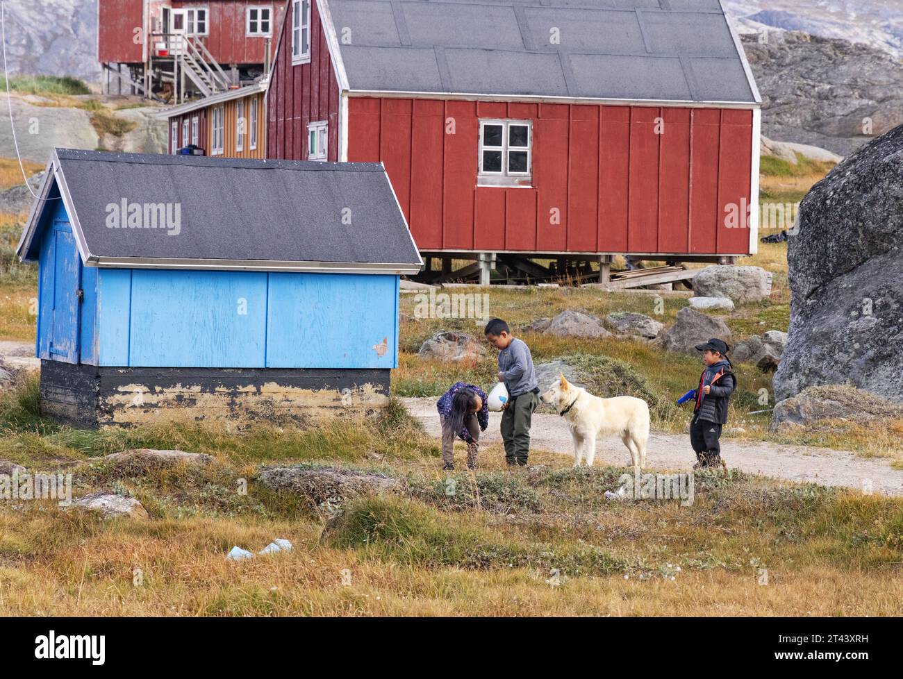 Three Inuit children playing with their pet dog; Aappilattoq village ...