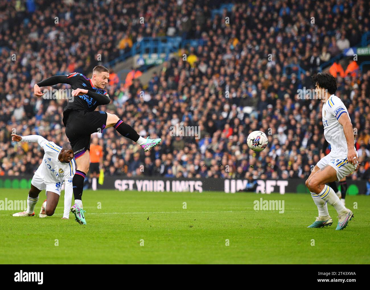 Wiles hi-res stock photography and images - Alamy