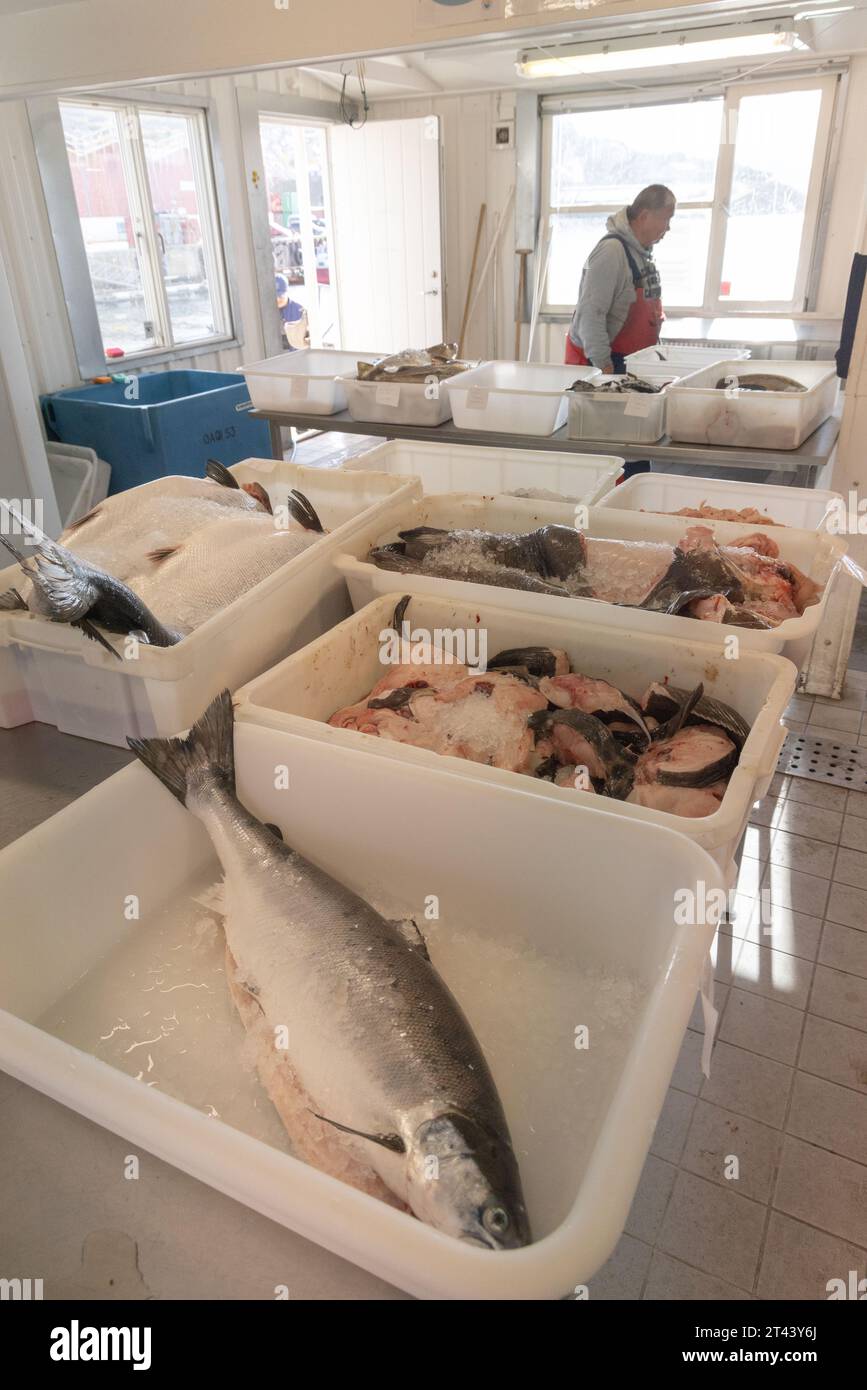 Inuit fish market hi-res stock photography and images - Alamy