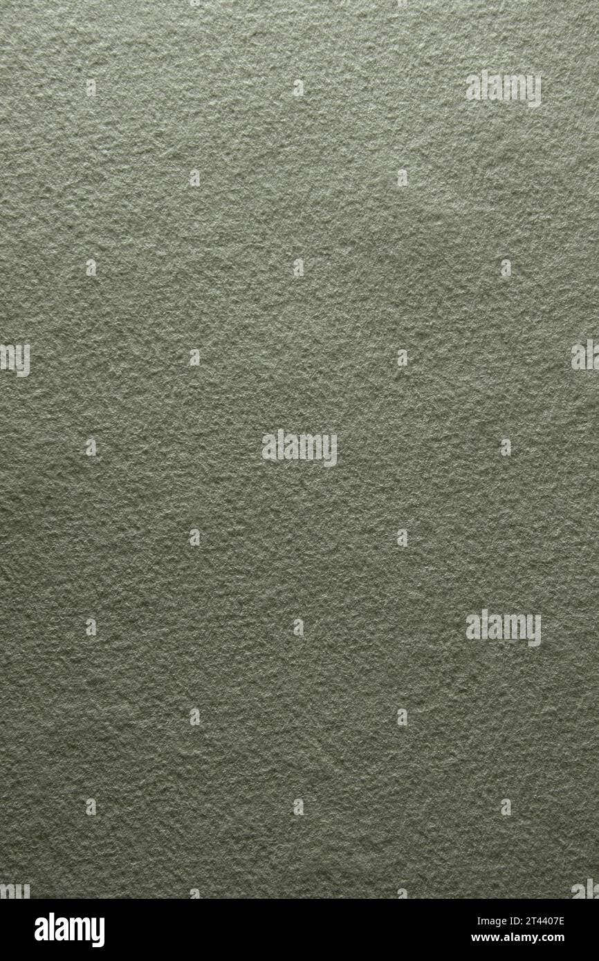 Soft green grey hi-res stock photography and images - Alamy