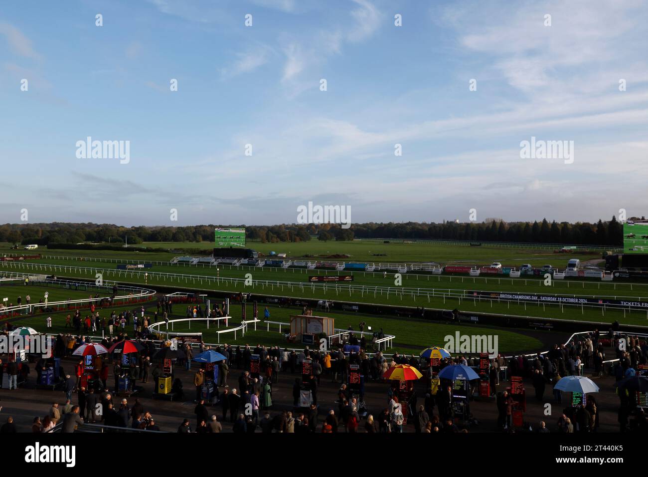 Racegoers watch the action from the stands at Doncaster Racecourse ...