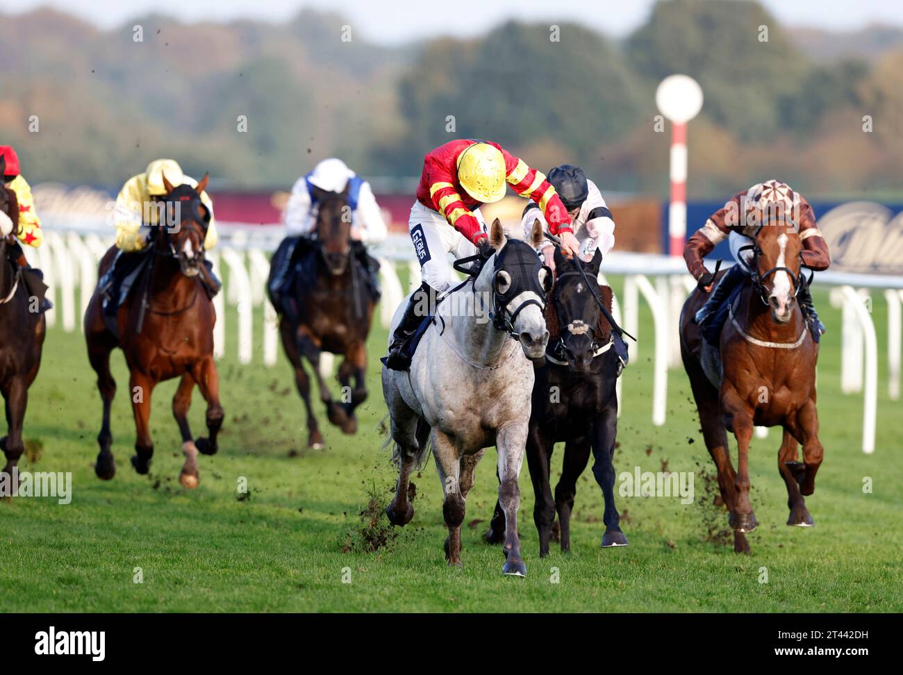Zip (third right) ridden by jockey Billy Garritty on their way to ...