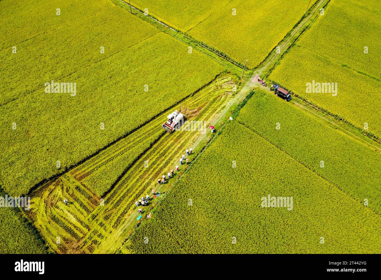 Li jianxin hi-res stock photography and images - Alamy