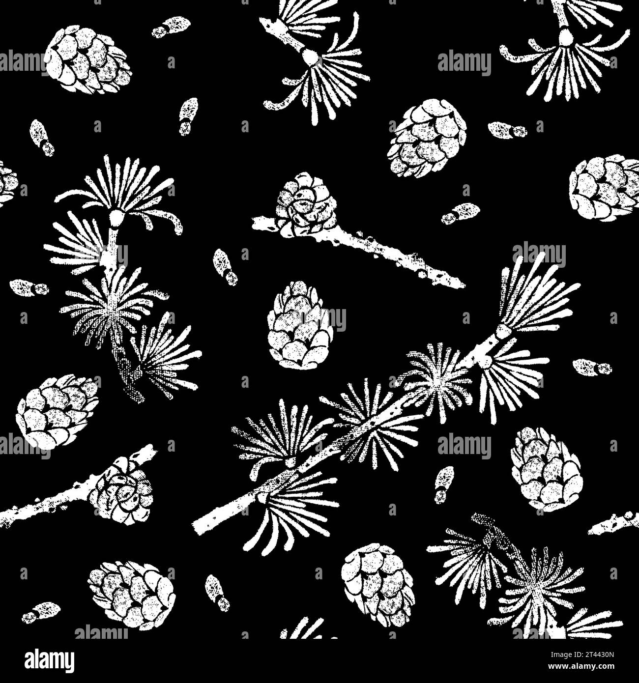 Larch seamless pattern. Larix decidua branch, cone, seed. Hand drawn ...