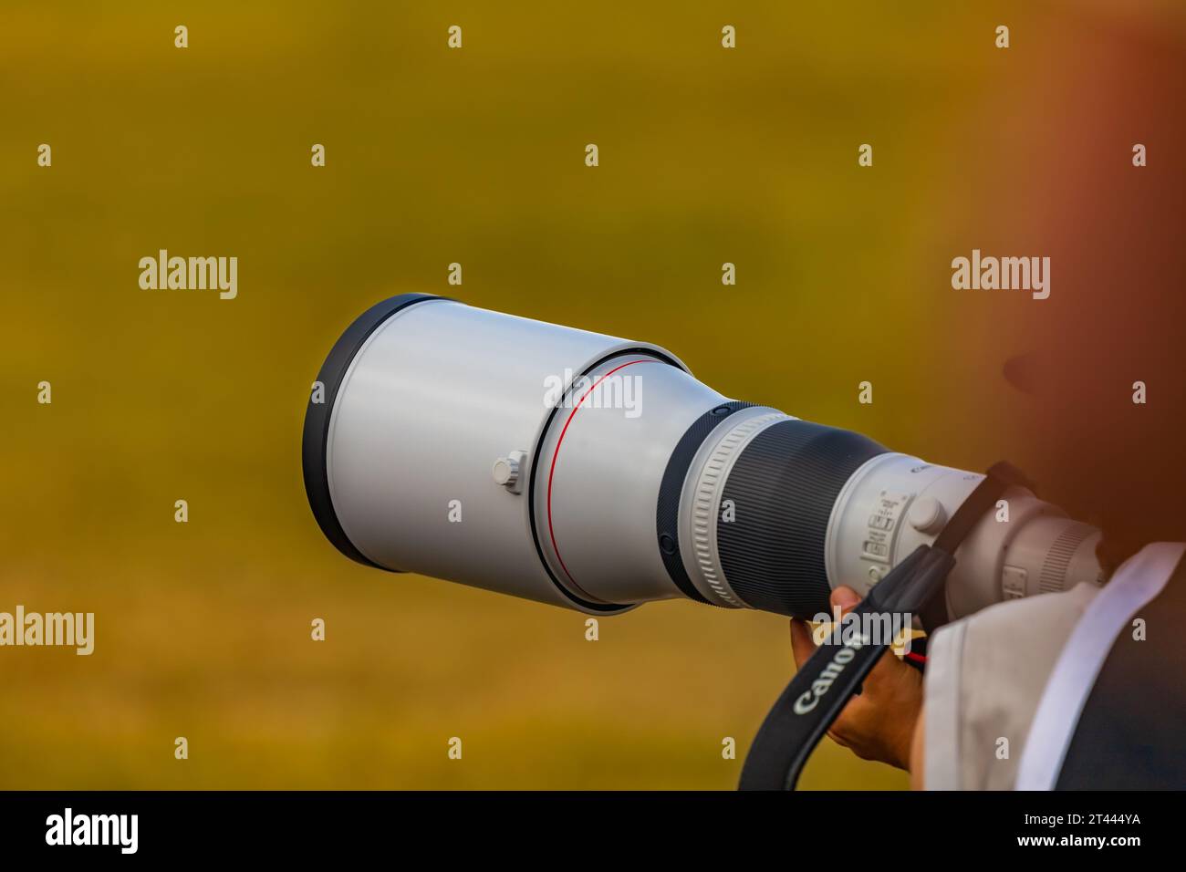 Leszno, Poland - June 17 2023: Canon RF 1200mm lens on modern ...