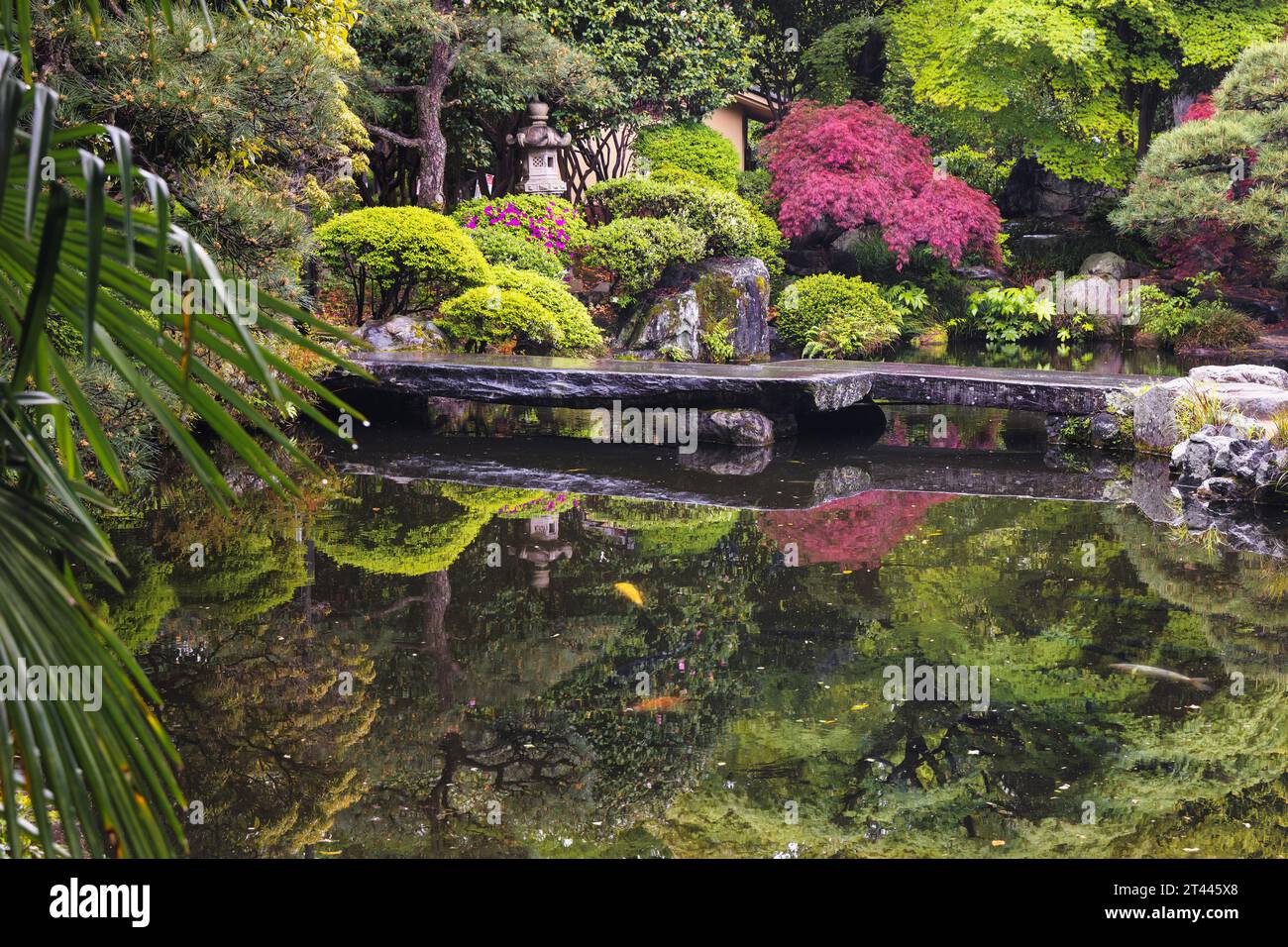 picture of a public, traditional Japanese park with pond in Ashikaga ...