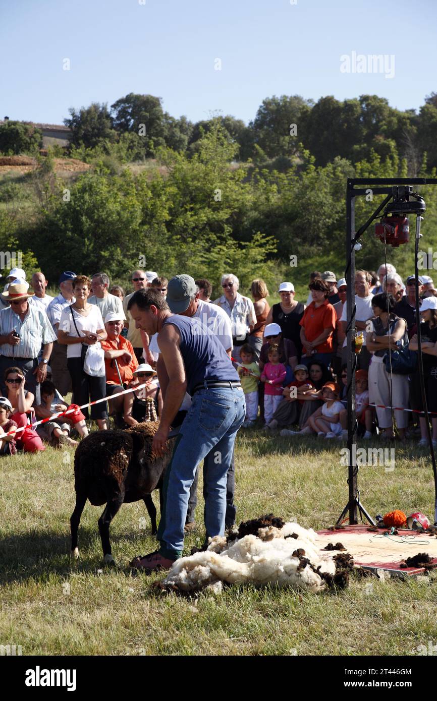 Transhumance Festival at Mas Dieu, Murviel les Montpellier, Occitanie ...